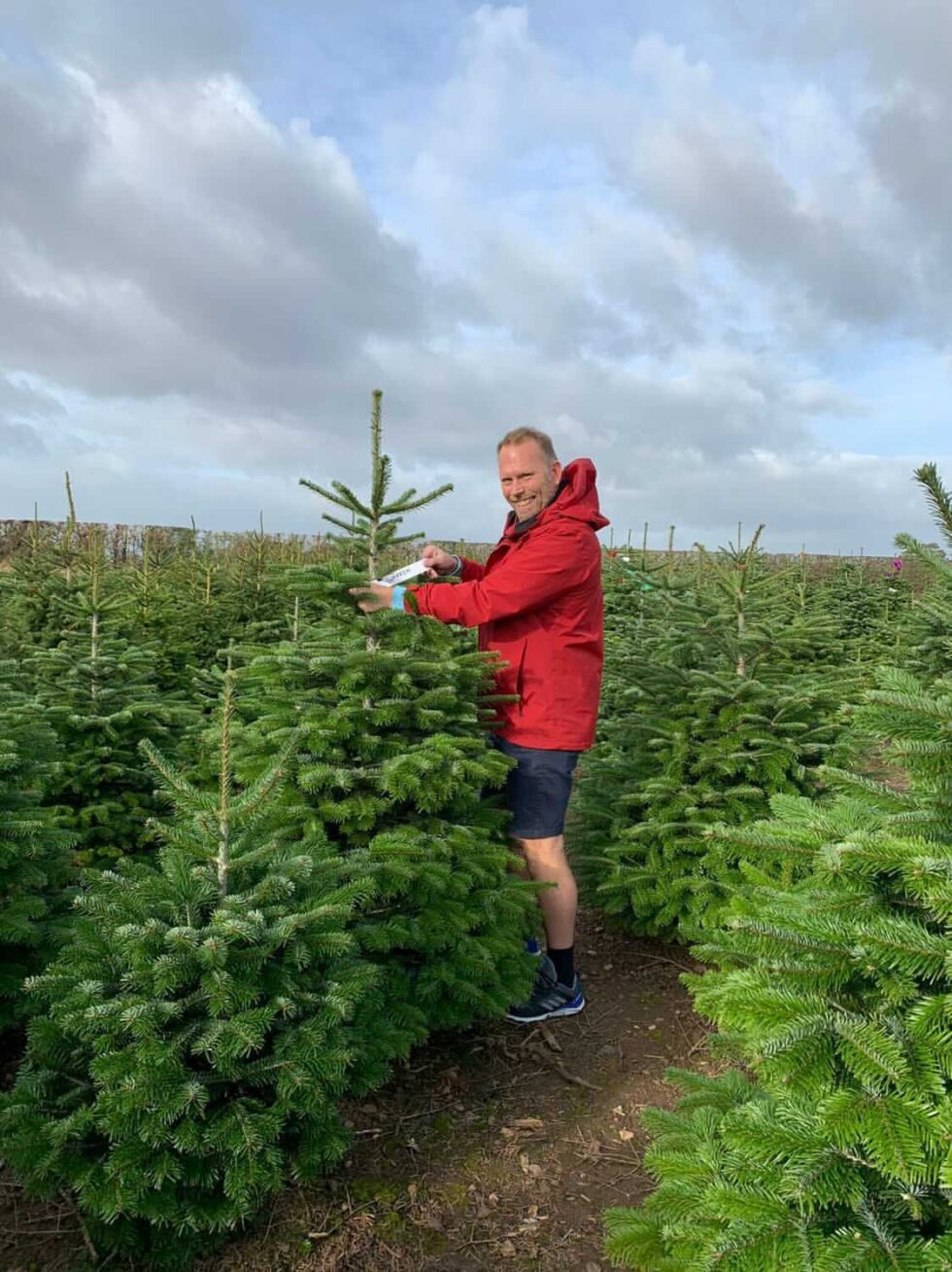 Home - Christmas Tree Farm
